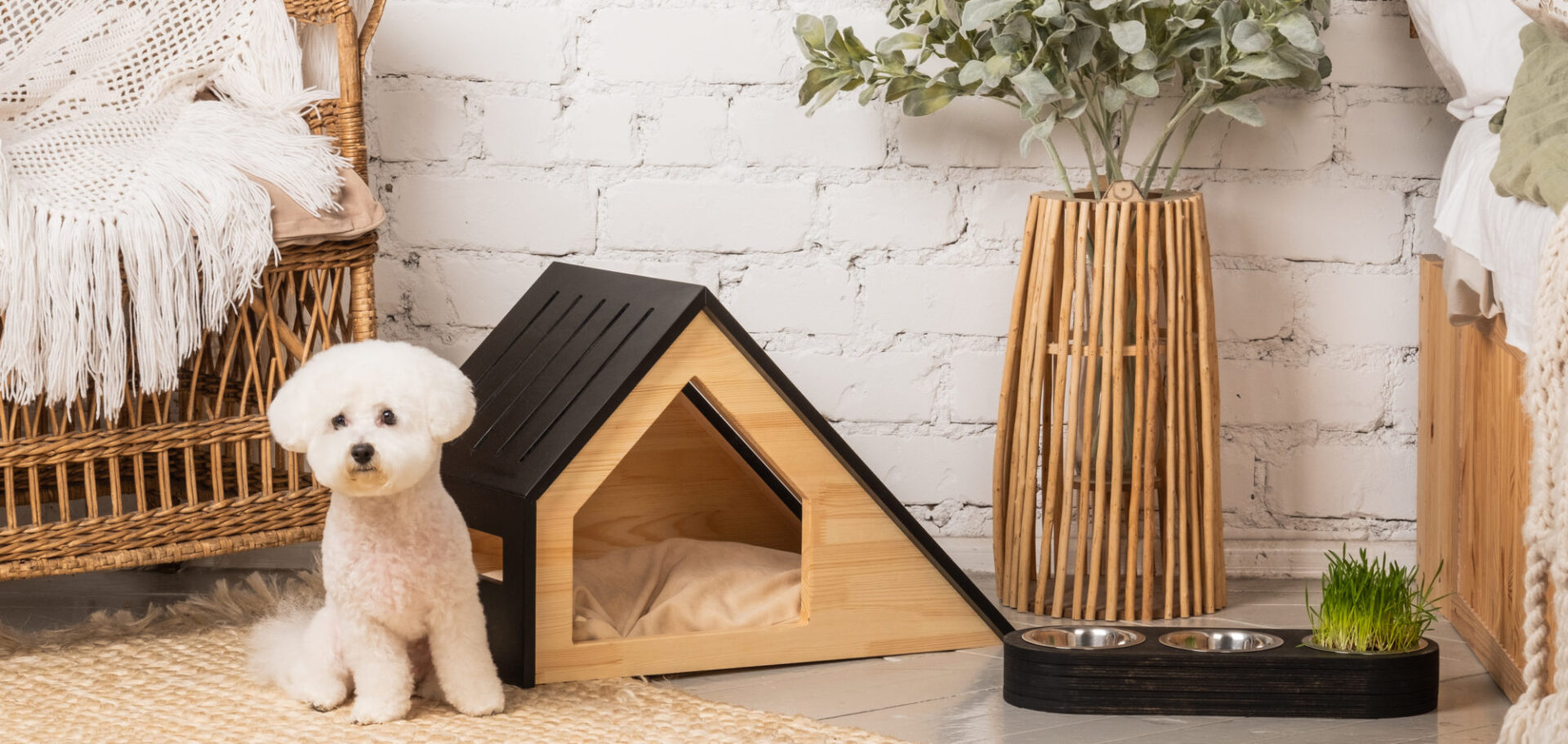 How to Dog-Proof Your Home - Inspired Homes
